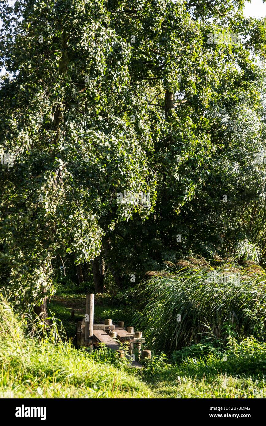 Westerpark hi-res stock photography and images - Alamy