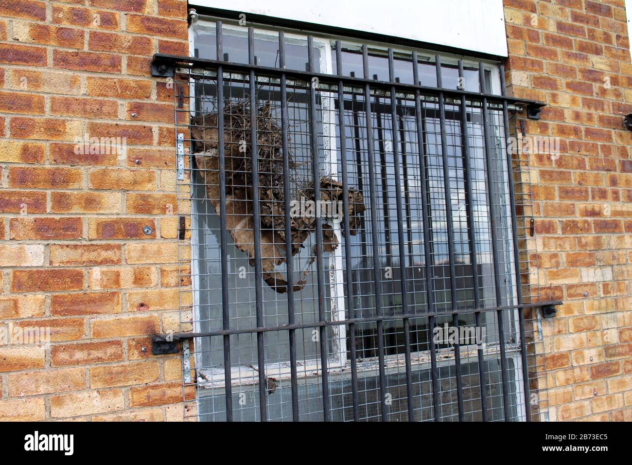 bared window on red bricked wall Stock Photo - Alamy