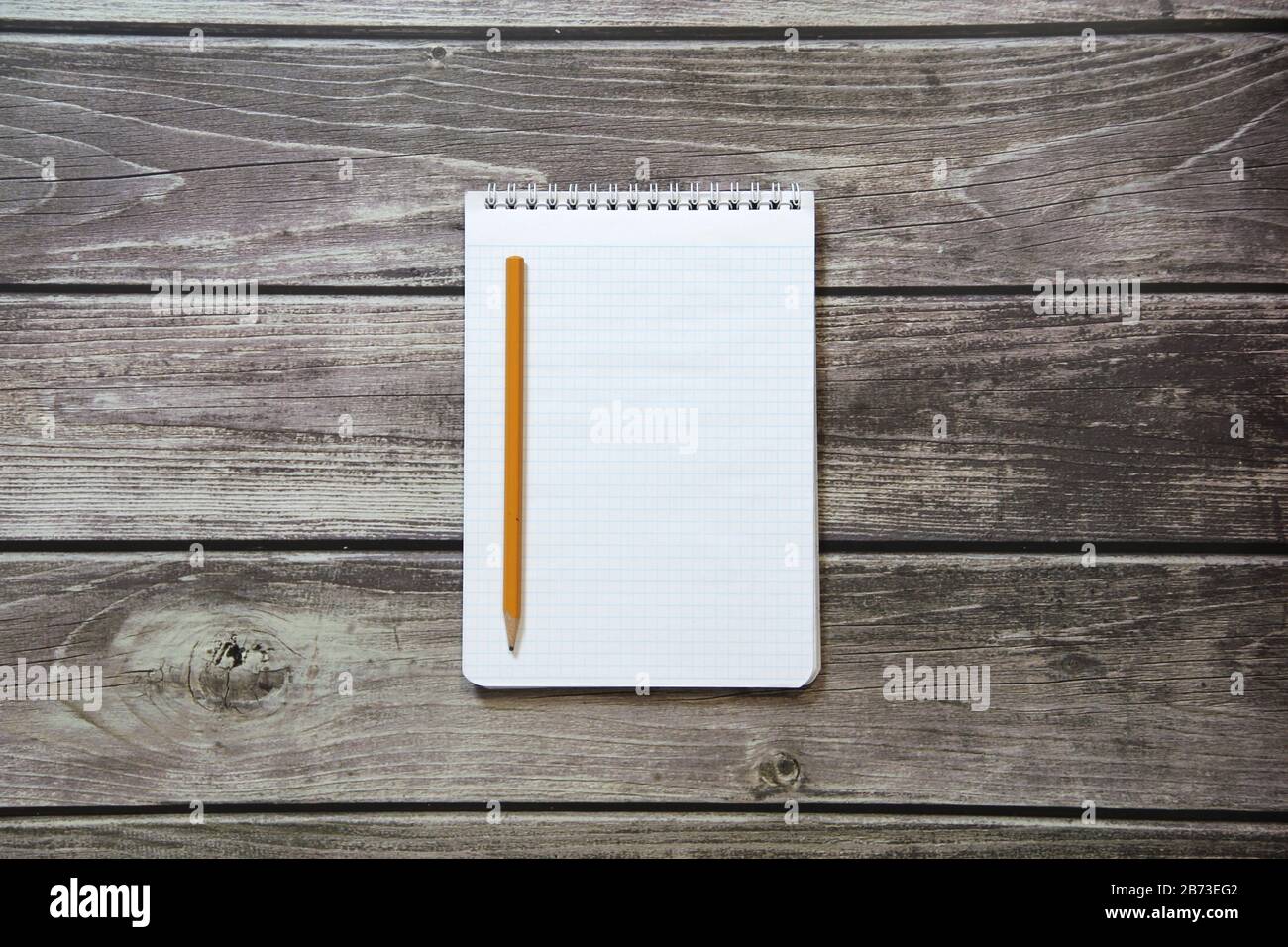 Notepad with a blank white sheet in a checker paper with simple ...