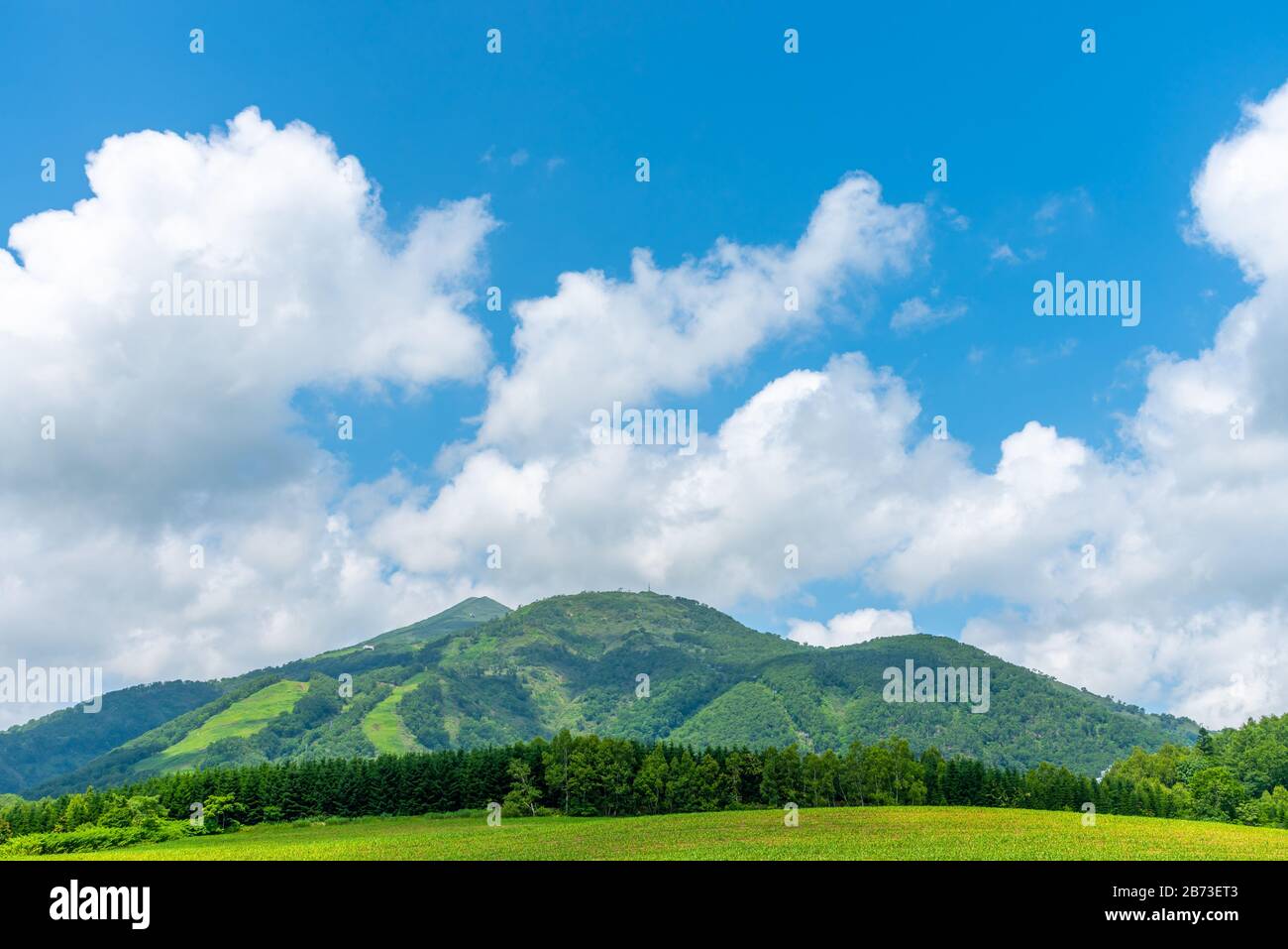 Mt. Niseko-Annupuri in springtime sunny day. Rural nature landscapes ...