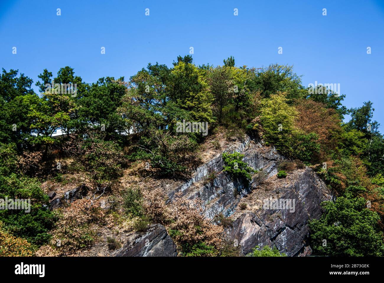 Mountain landscape with greenery Stock Photo - Alamy