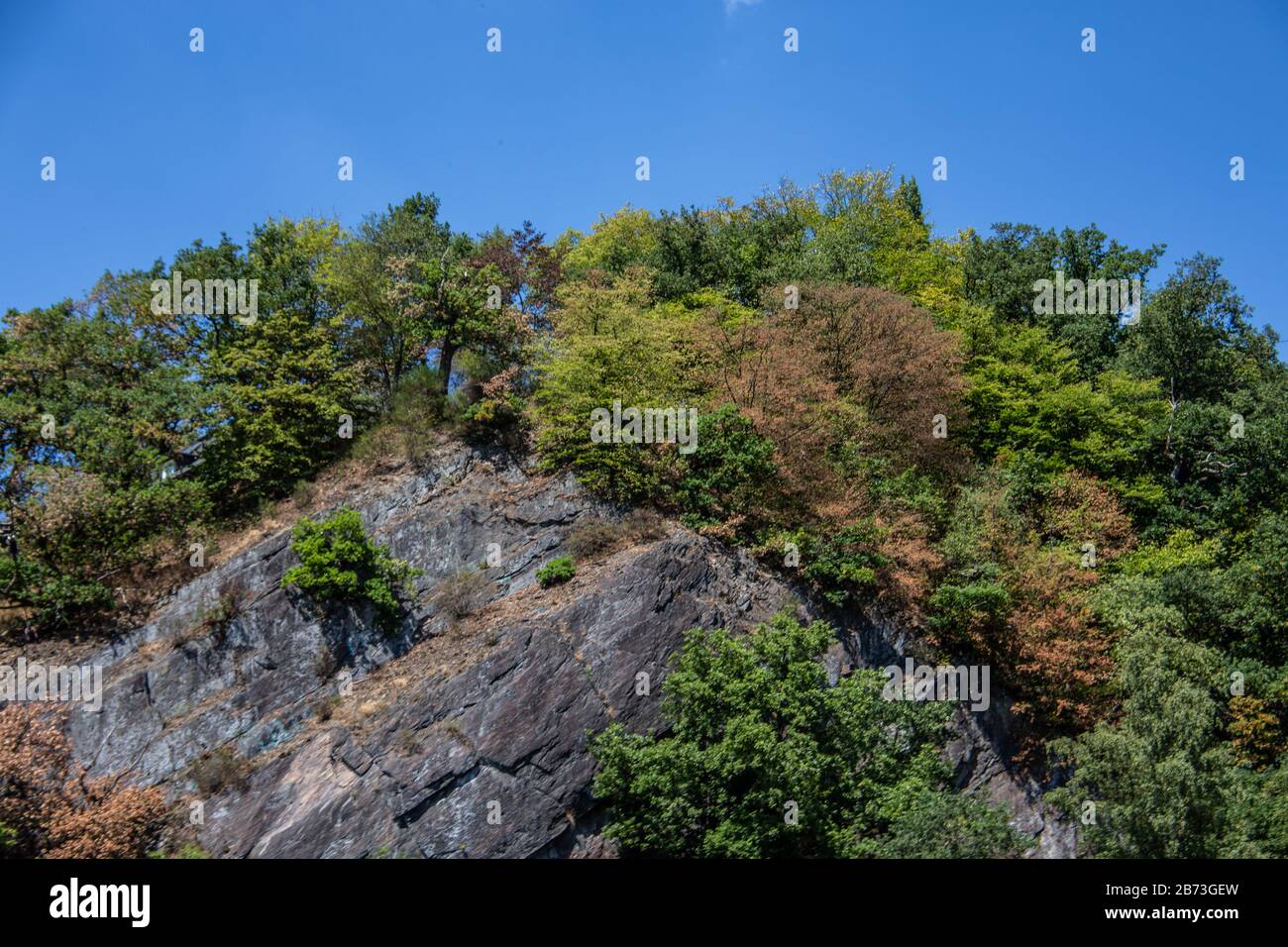 Mountain landscape with greenery Stock Photo - Alamy