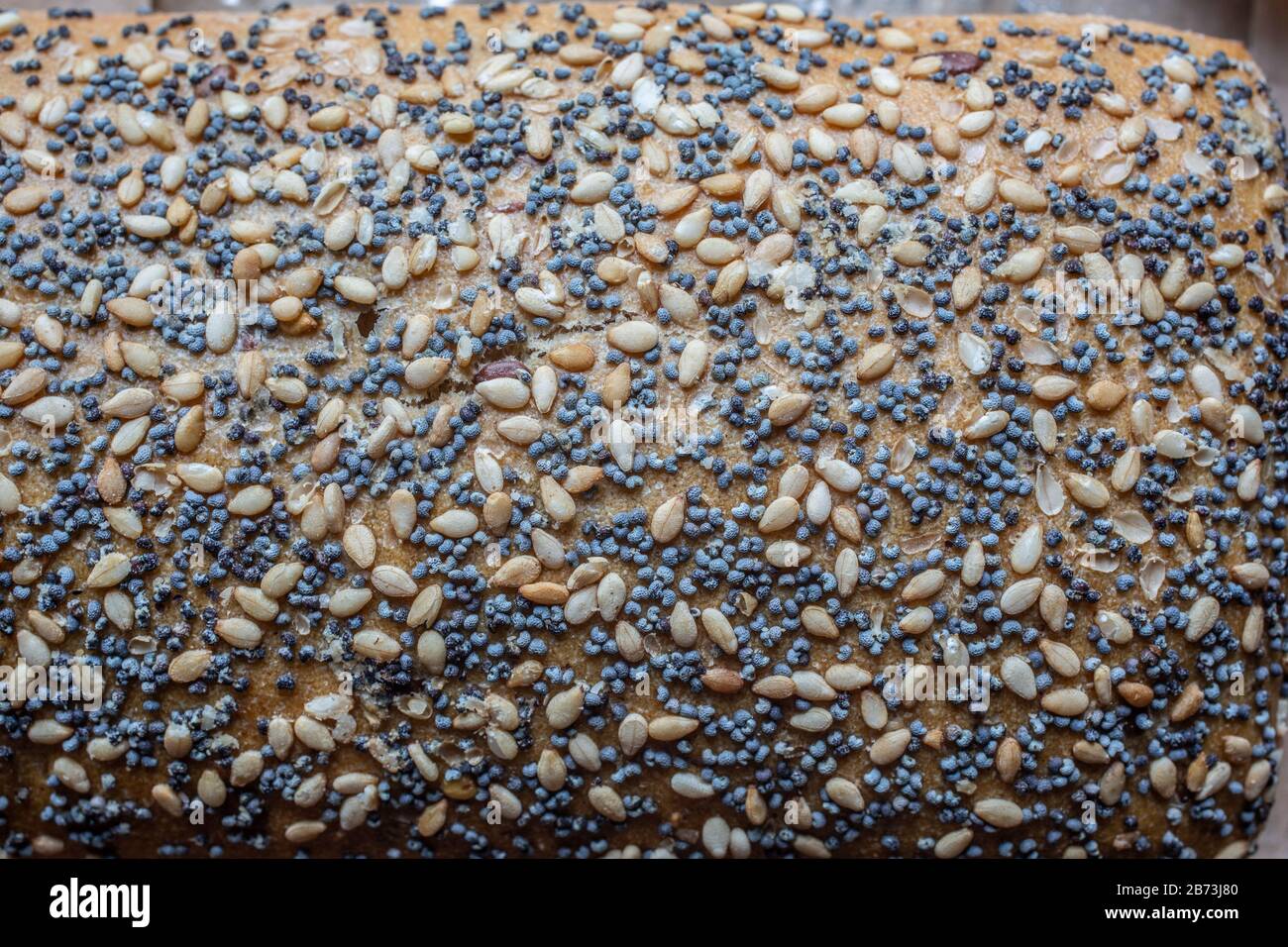 crispy multigrain rolls with poppy seeds greatly enlarged Stock Photo ...