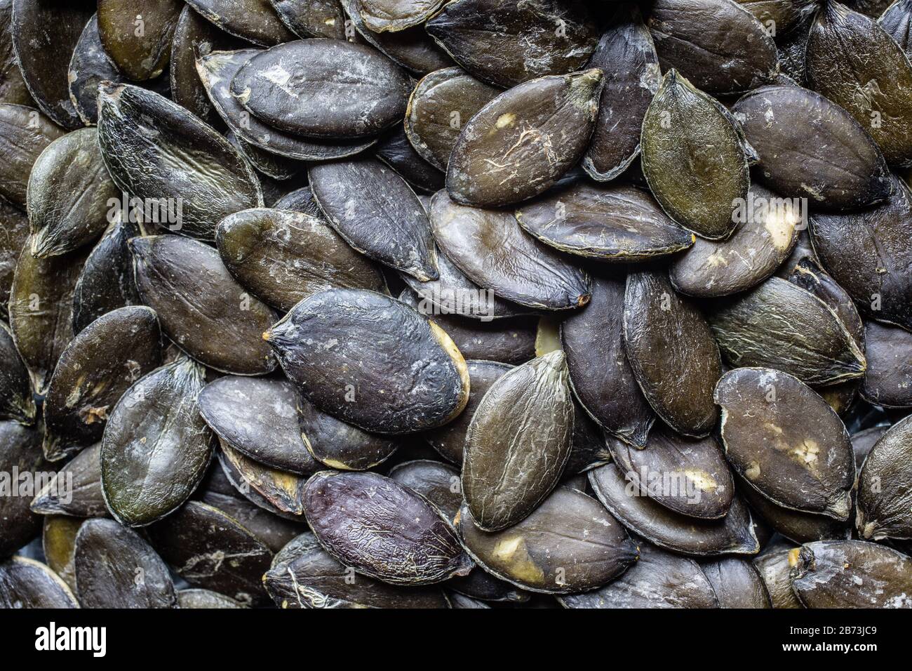 Pumpkin seeds under the magnifying glass Stock Photo - Alamy