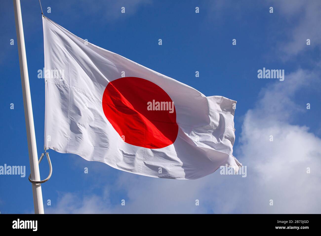 Japanese Flag Waving