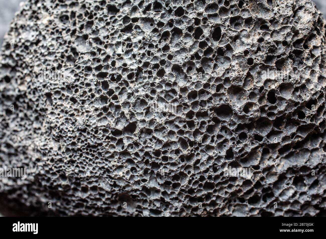 gray porous pumice stone as a volcanic igneous rock Stock Photo - Alamy