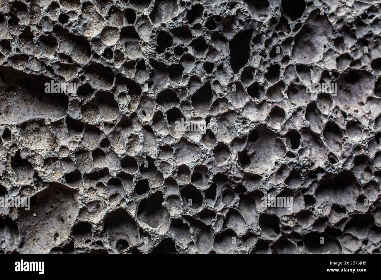 gray porous pumice stone as a volcanic igneous rock Stock Photo - Alamy