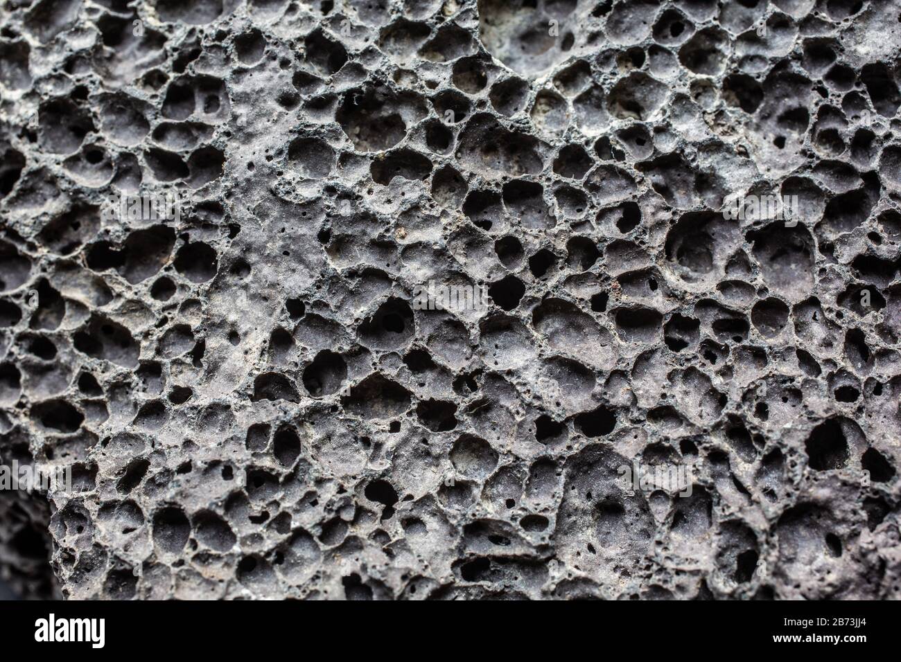 gray porous pumice stone as a volcanic igneous rock Stock Photo - Alamy