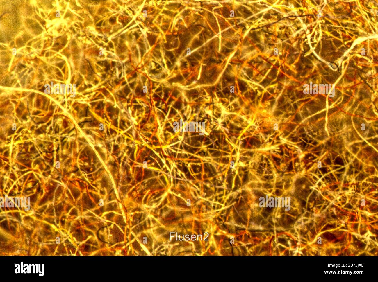 Dust threads hi-res stock photography and images - Alamy