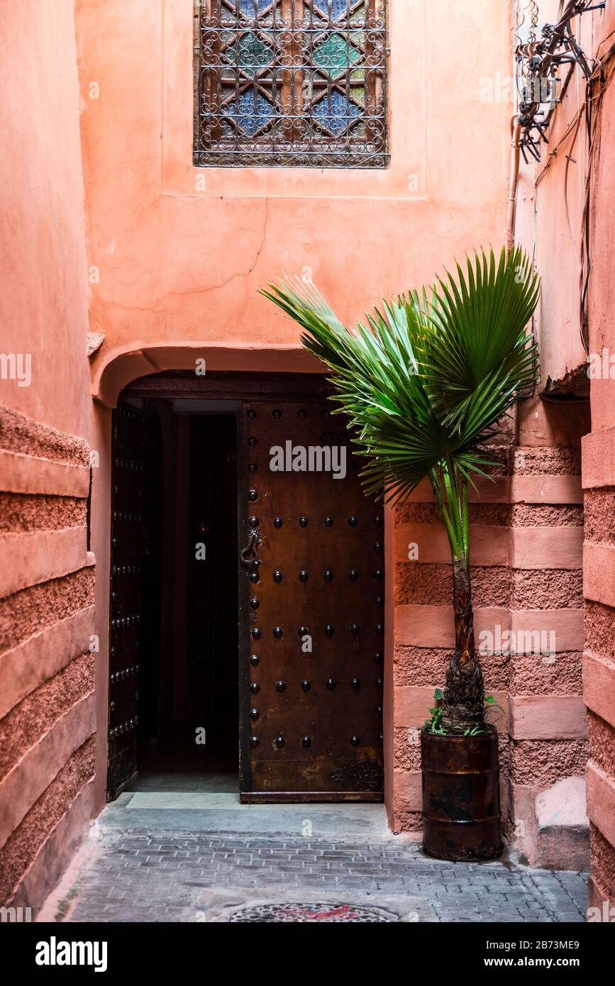 Orange tree in marrakech hi-res stock photography and images - Alamy