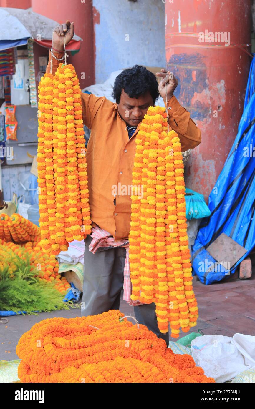 Indian marigold flower hi-res stock photography and images - Alamy