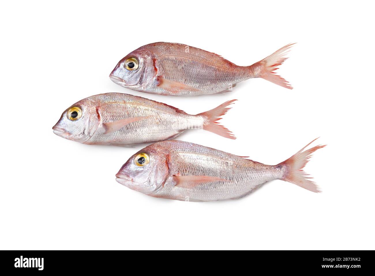 Luvaro High Resolution Stock Photography and Images - Alamy