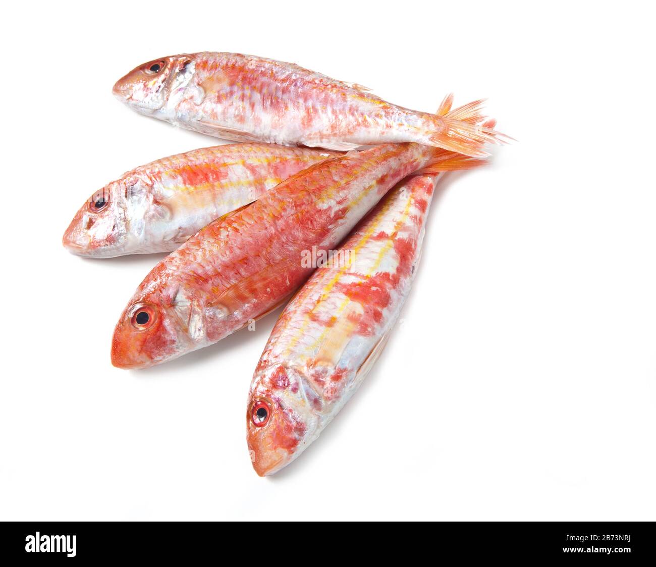 Rouget Barbet Fish High Resolution Stock Photography and Images - Alamy