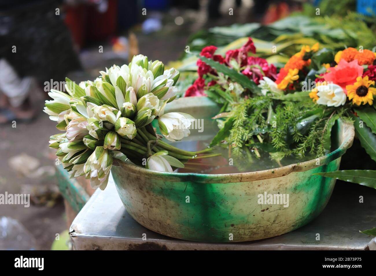 White flowers and bucket hi-res stock photography and images - Alamy