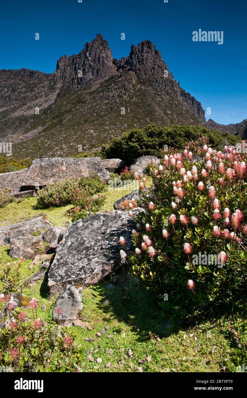 Mt ossa hi-res stock photography and images - Alamy