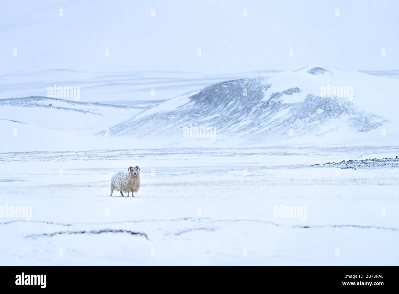 Icelandic snowscape hi-res stock photography and images - Alamy