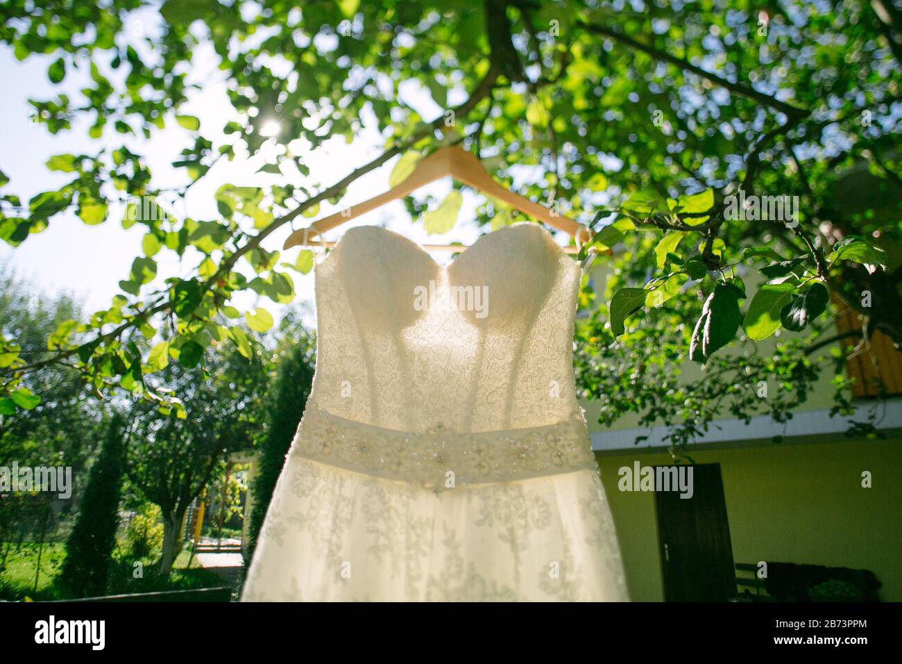 beautiful wedding dress hanging on a tree in a garden at sunny day ...