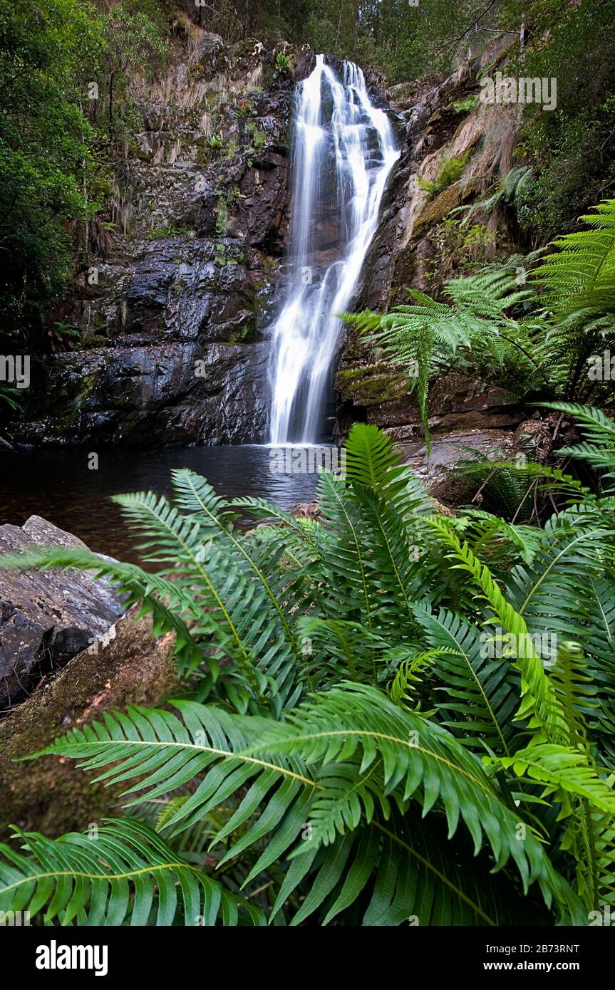 Mathinna hi-res stock photography and images - Alamy