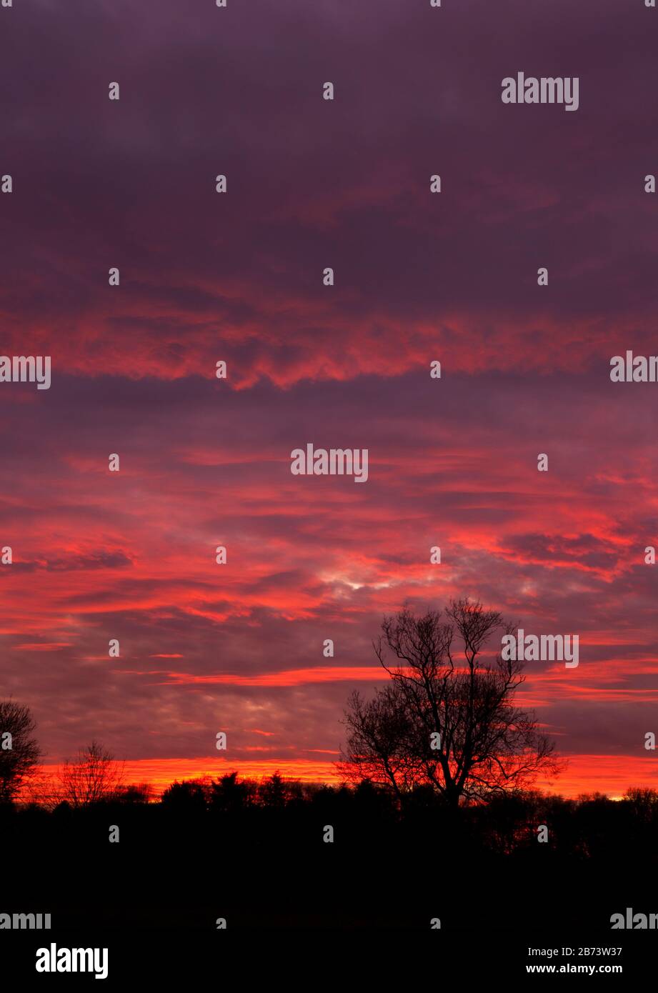 A dramatic fiery sky at sunset with eerie trees Stock Photo - Alamy