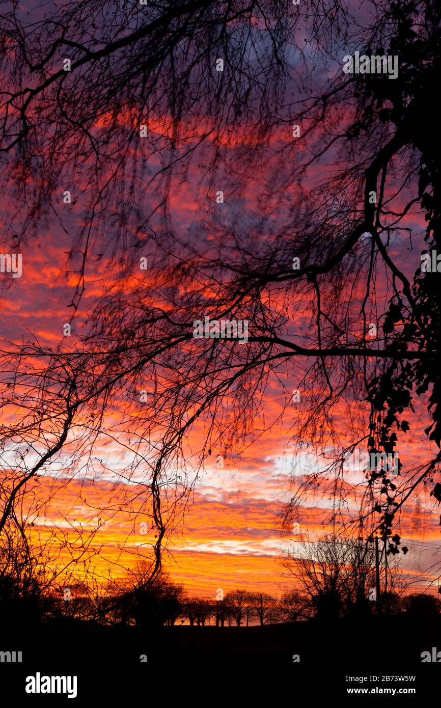 A dramatic fiery sky at sunset with eerie trees Stock Photo - Alamy