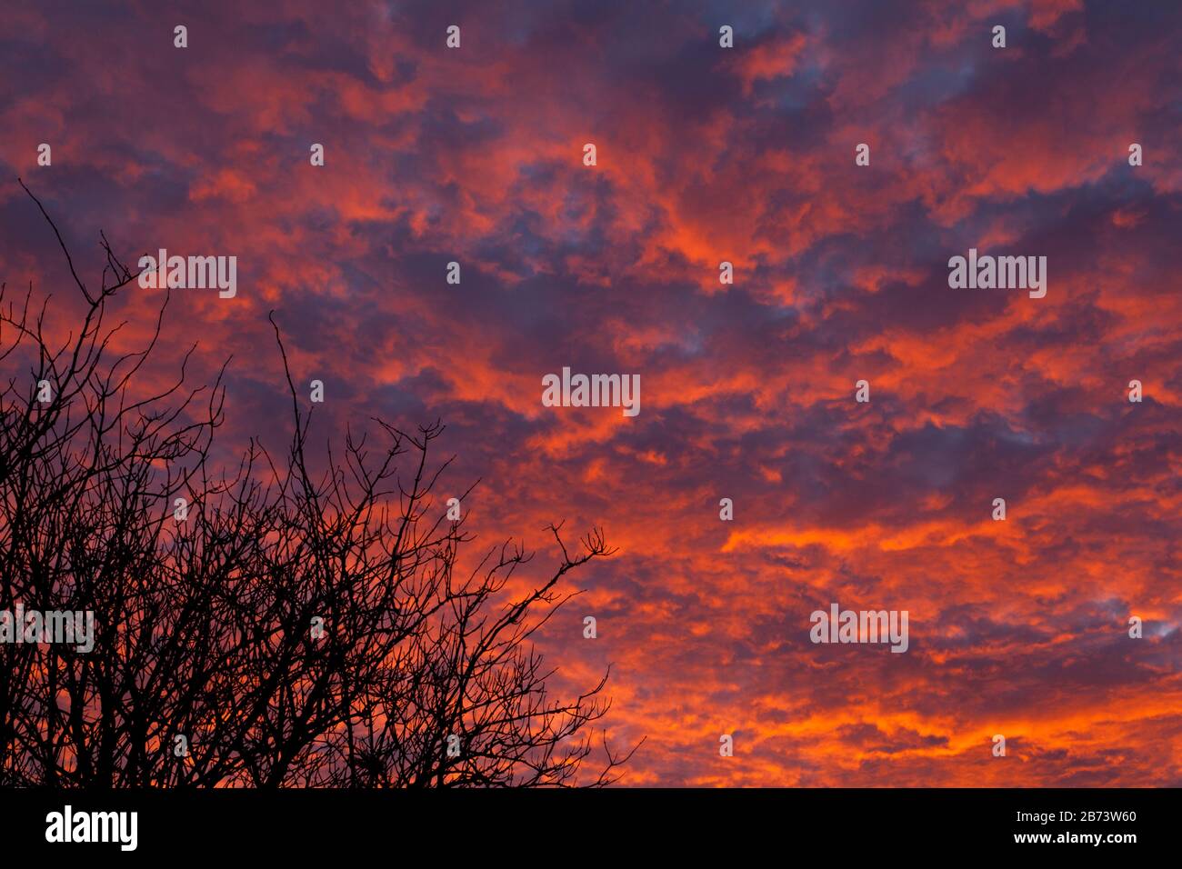 A dramatic fiery sky at sunset with eerie trees Stock Photo - Alamy