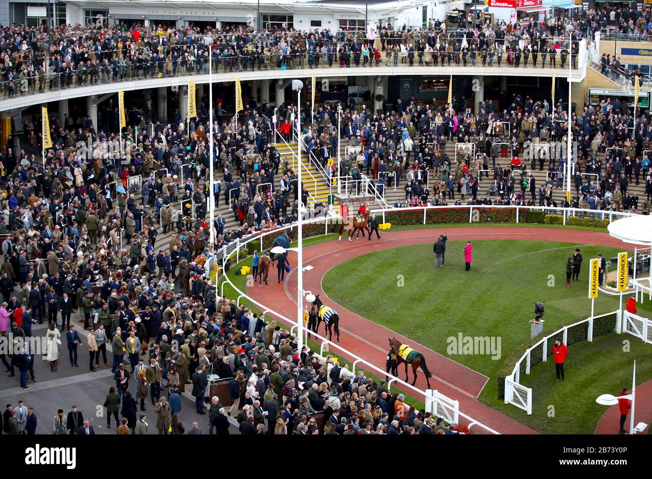 Horses in the parade ring ahead of the JCB Triumph Hurdle during day ...
