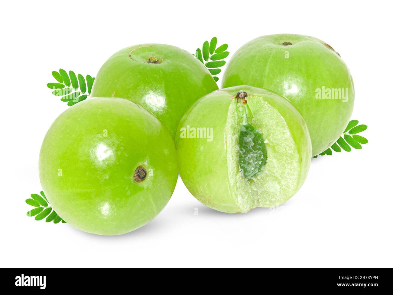 Amla green fruits ,Phyllanthus emblica isolated on white background ...