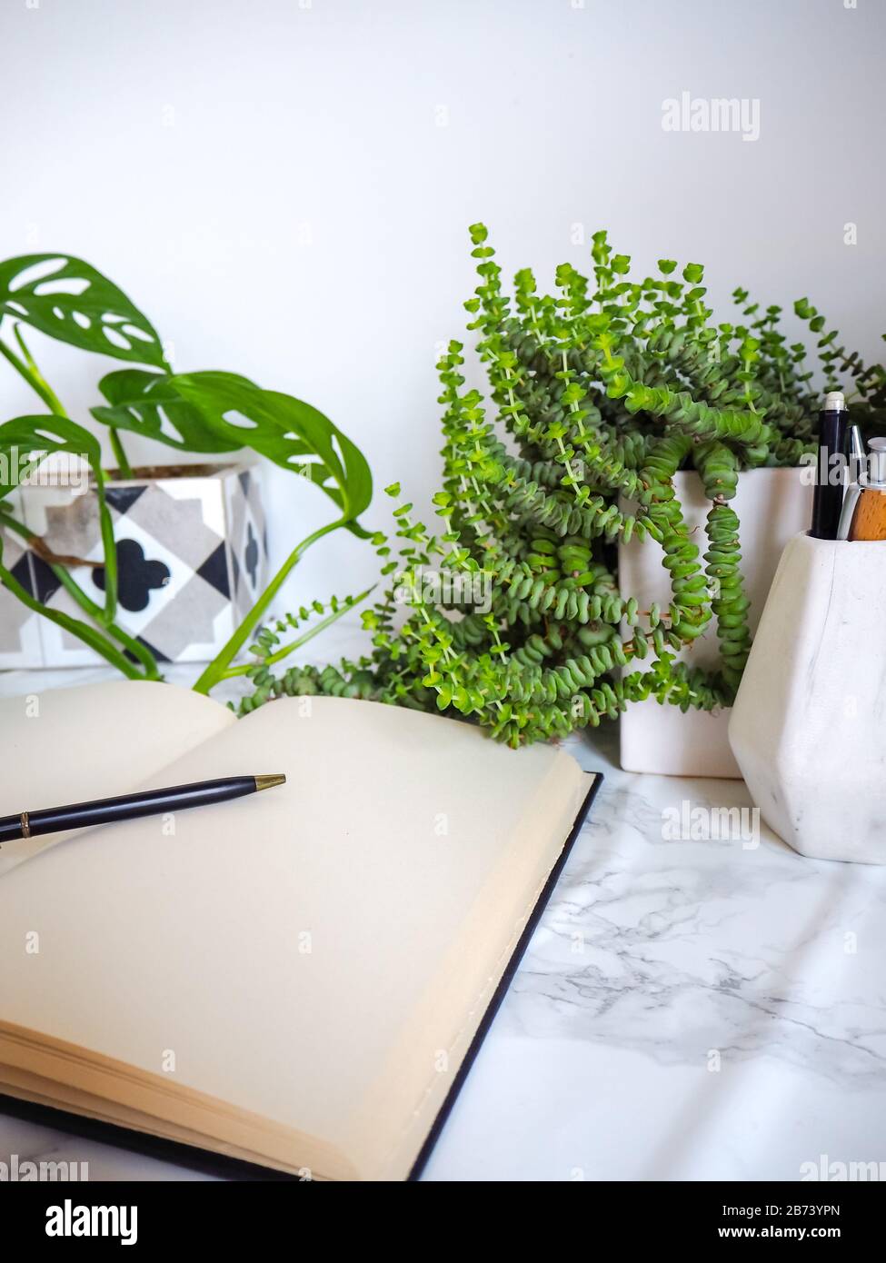 Multiple indoor plants and a blank notebook on a office desk in a ...