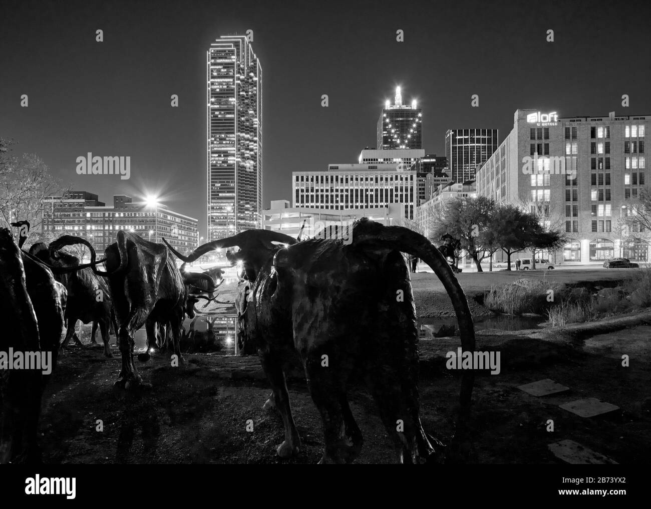 Dallas Skyline Black and White Stock Photos & Images - Alamy