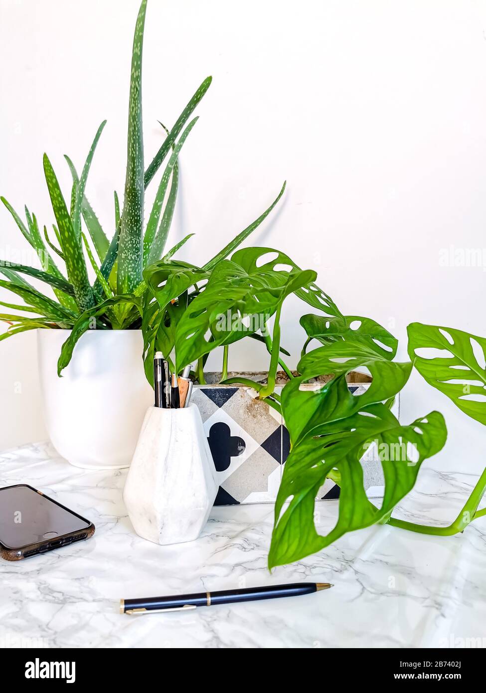 White clean work desk with numerous green plants for a relaxing no ...