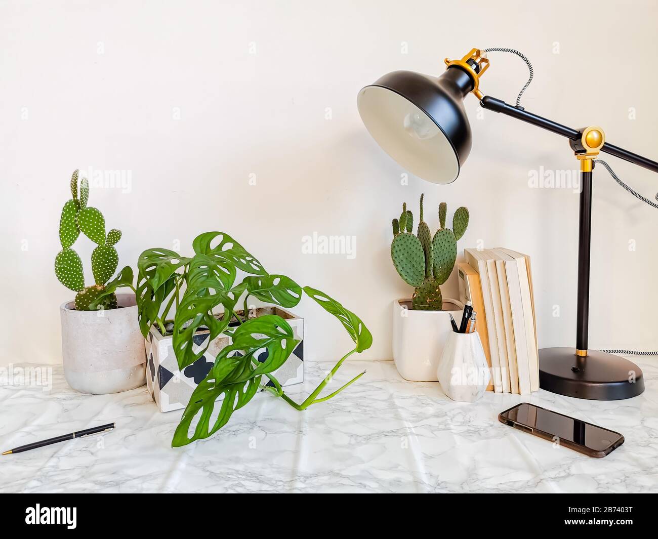 Home office desk with indoor plants such as a cactus and stationery on ...