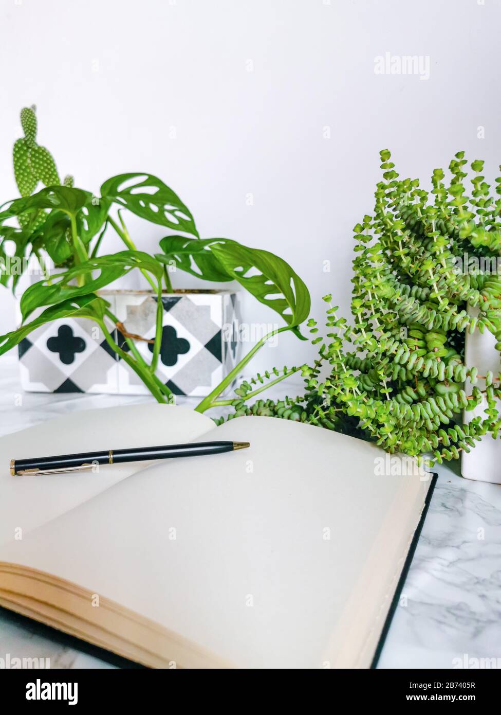Multiple indoor plants and a blank notebook on a office desk in a ...