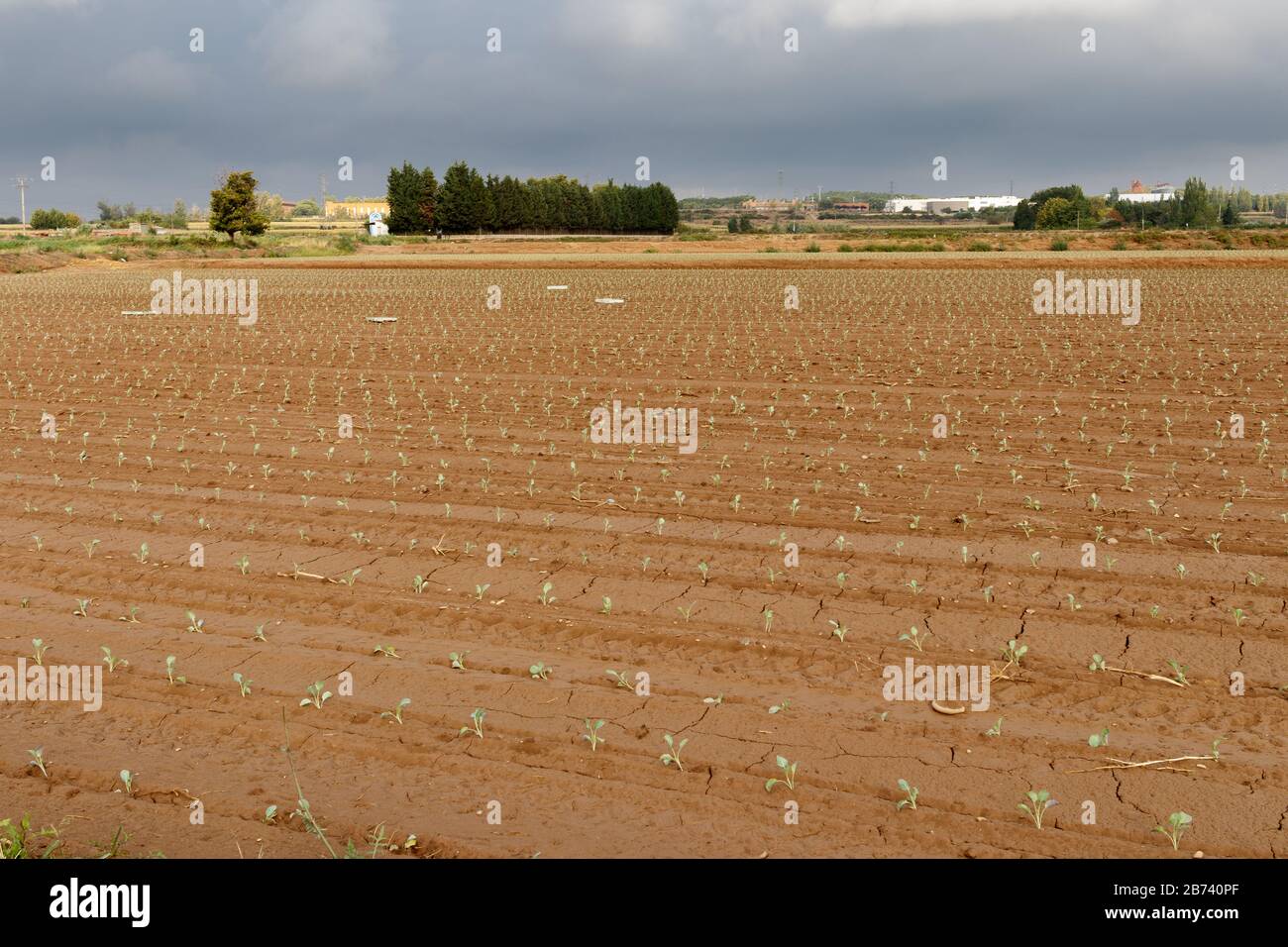 Spanish farm land hi-res stock photography and images - Alamy