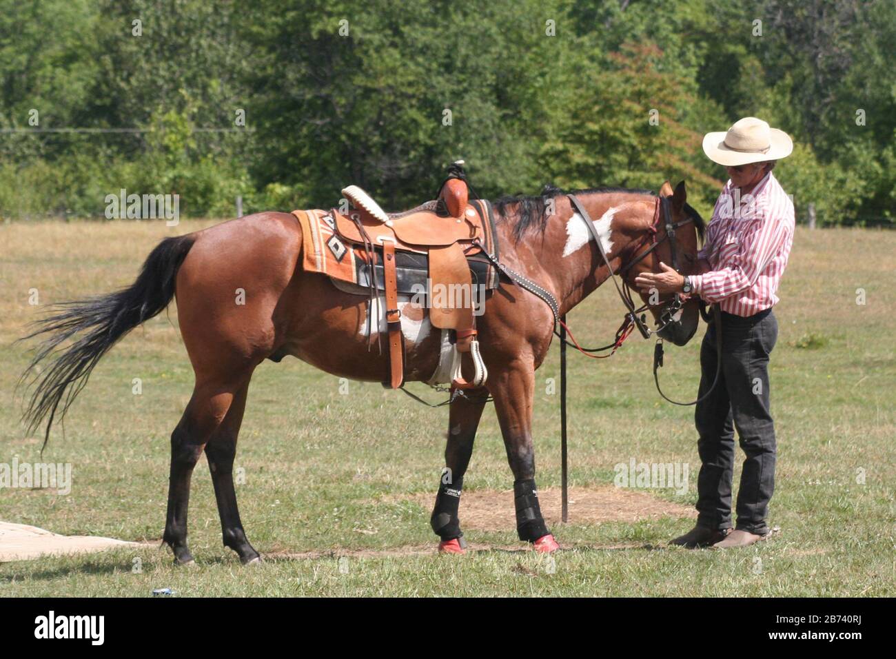 Team Penning event Stock Photo - Alamy