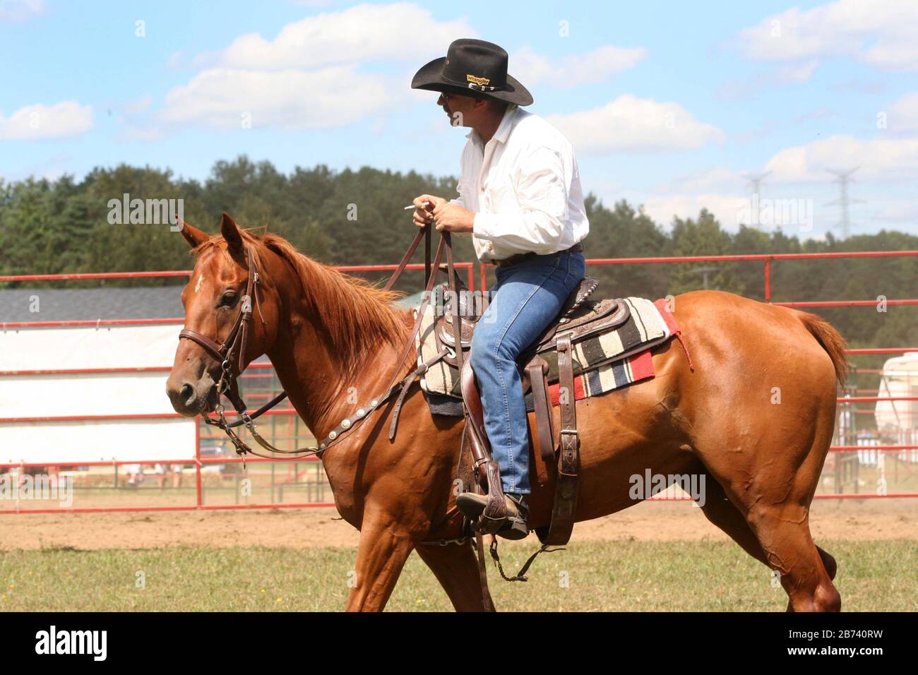 Team Penning event Stock Photo - Alamy