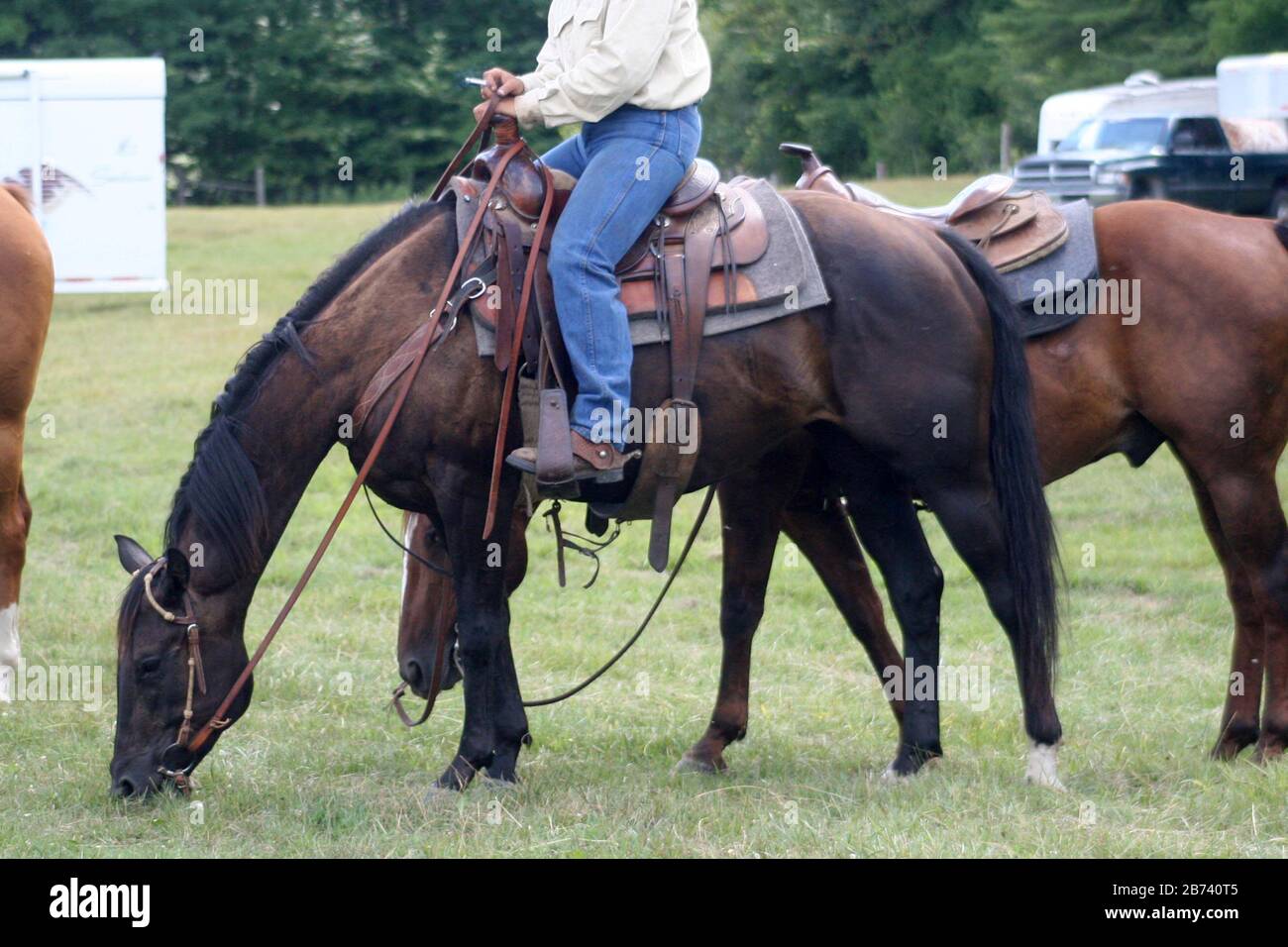 Team Penning event Stock Photo - Alamy