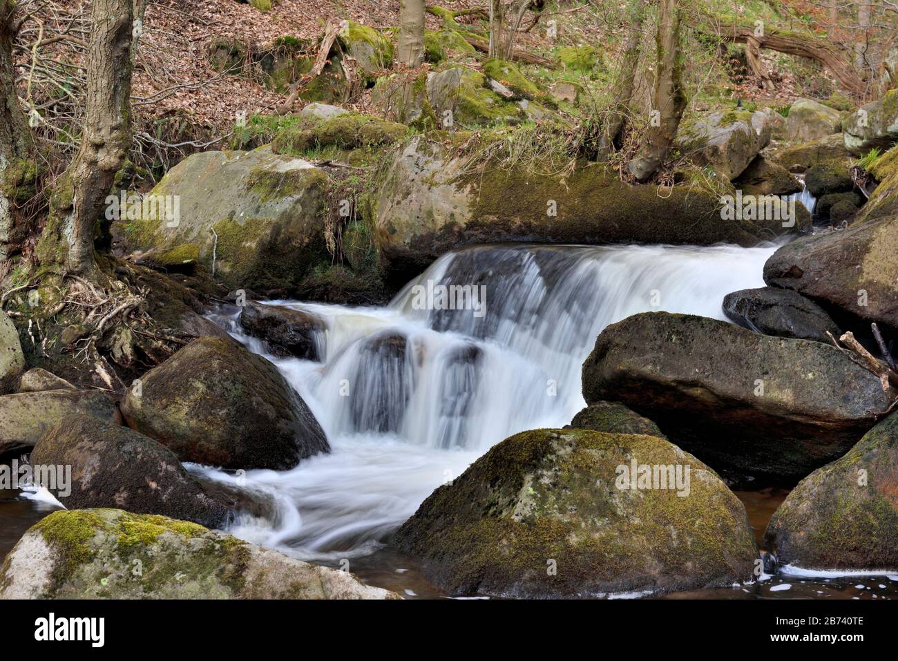 Burbage Brook, Padley Gorge, Longshaw Estate, Peak District National ...