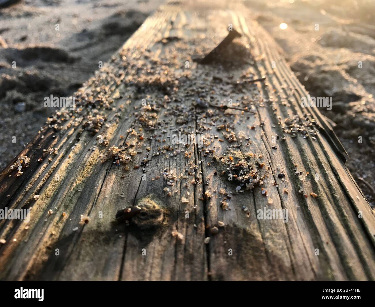 wooden beams on the beach on a sunny day Stock Photo - Alamy