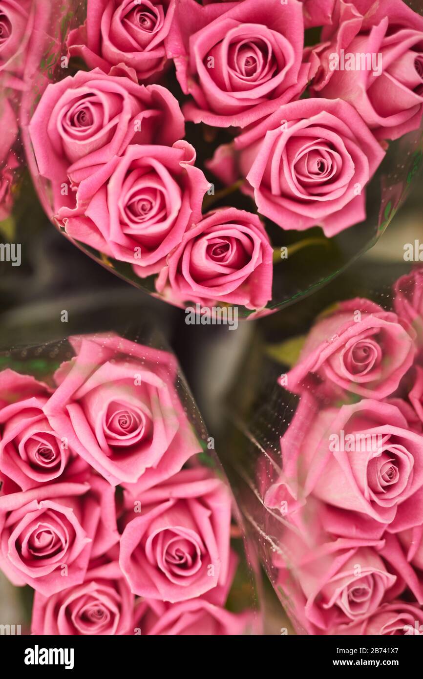 Bunches of pink roses hi-res stock photography and images - Alamy