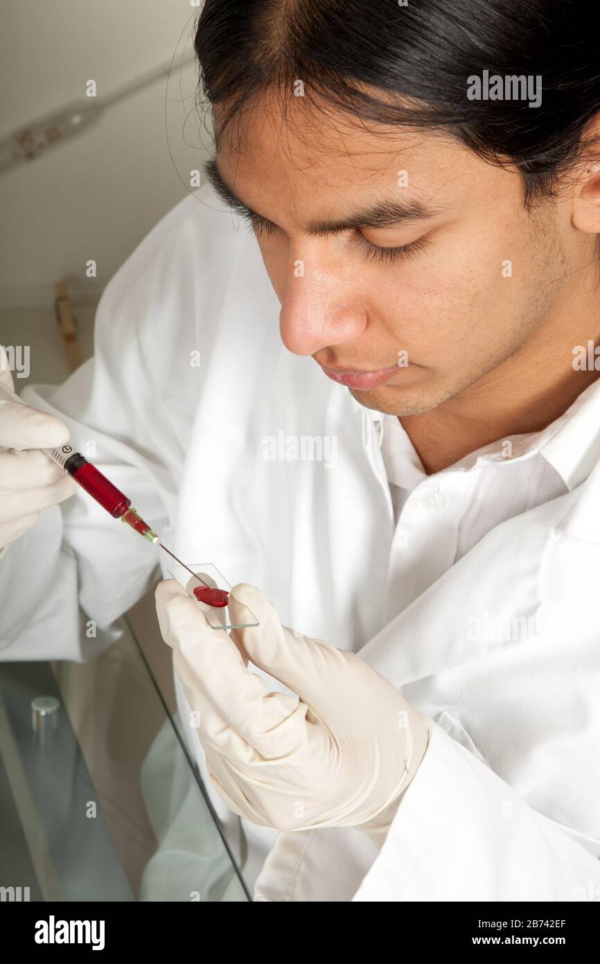 Young lab worker doing tests with blood Stock Photo - Alamy