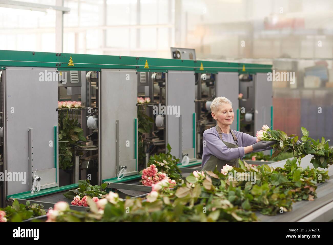 Woman sorting hair hi-res stock photography and images - Alamy