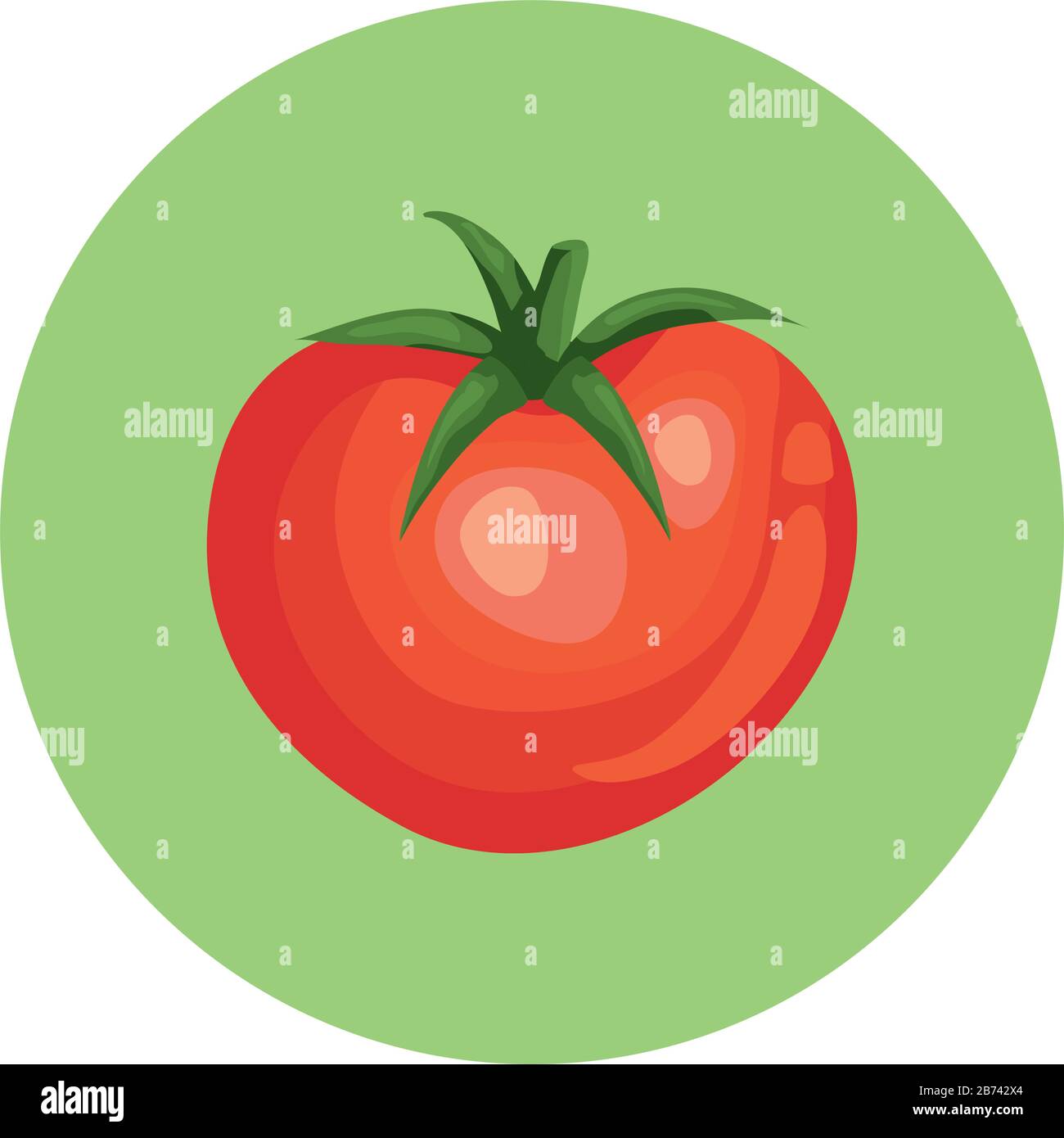fresh tomato vegetable in frame circular Stock Vector Image & Art - Alamy