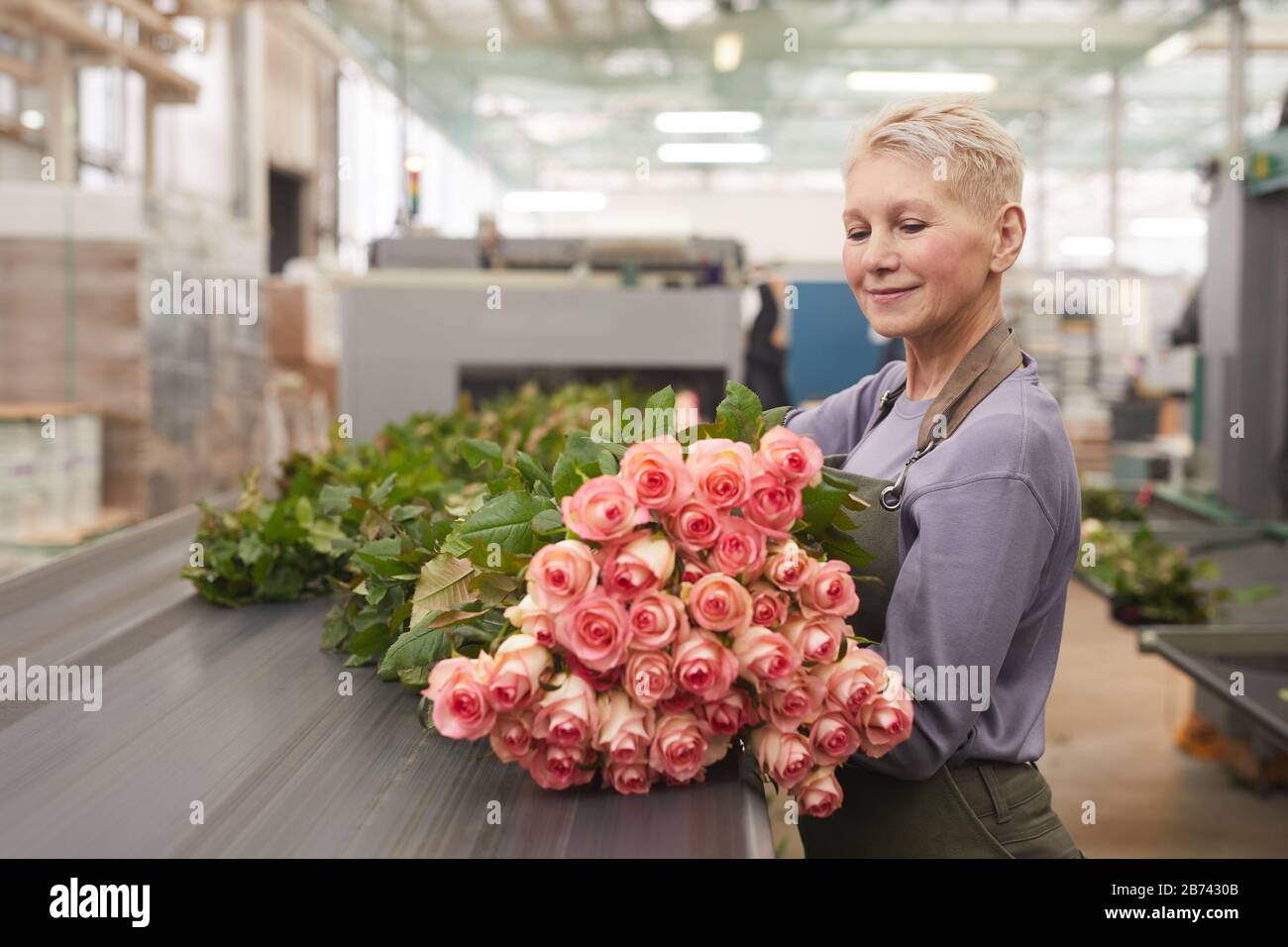 Mature woman with short hair preparing fresh young roses for sale she ...