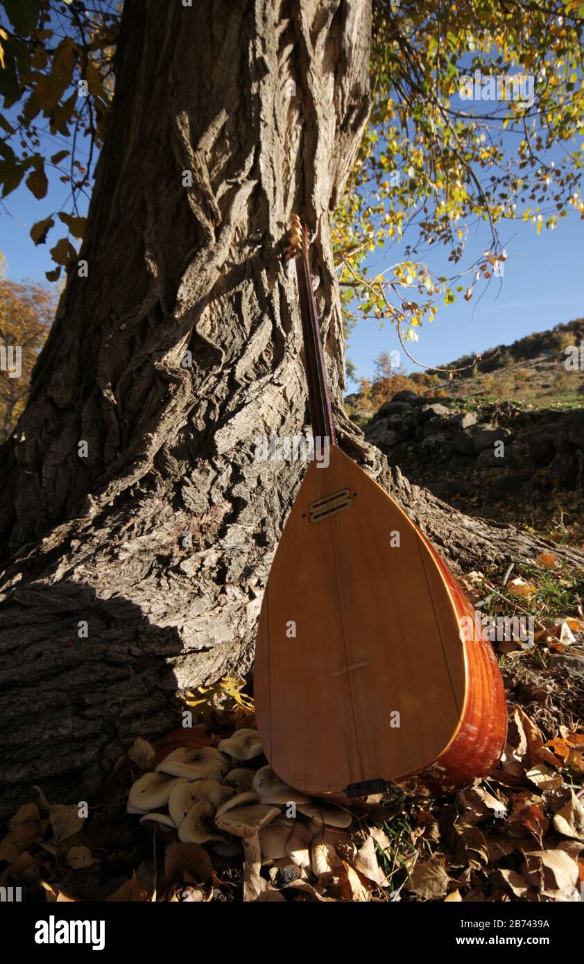 Turkish instrument (Saz - Baglama Stock Photo - Alamy