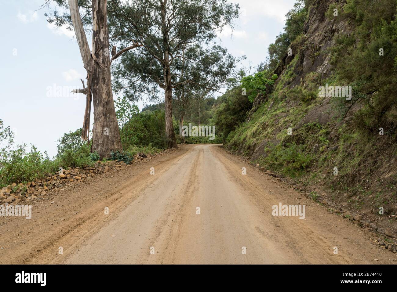 Dirt road cut into side of mountain and surrounded by vegetation in ...