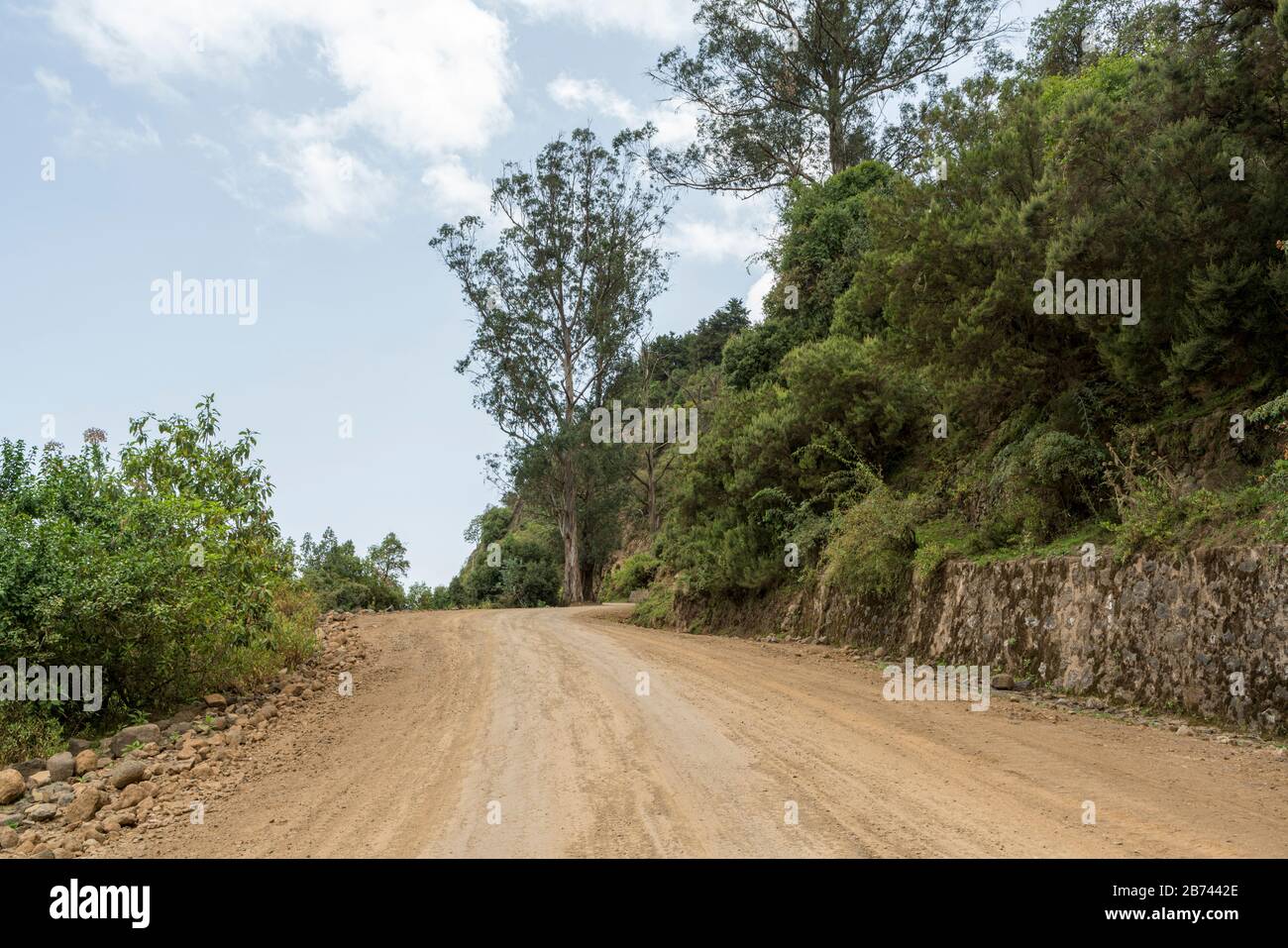 Dirt road cut into side of mountain and surrounded by vegetation in ...