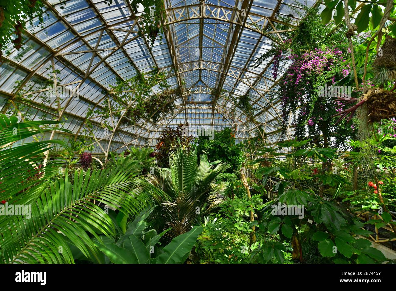 Christchurch botanic gardens hi-res stock photography and images - Alamy