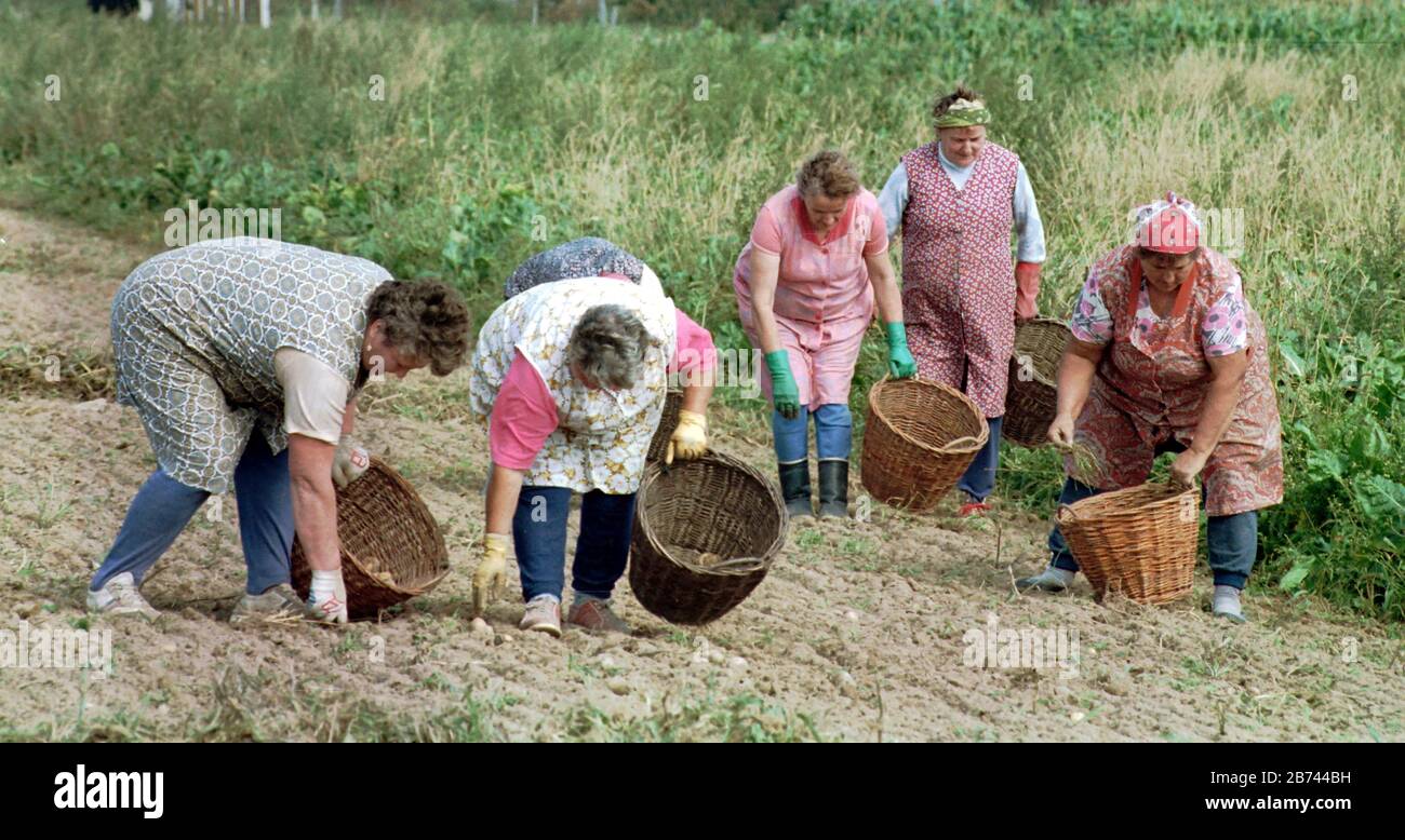 Ratibor hi-res stock photography and images - Alamy