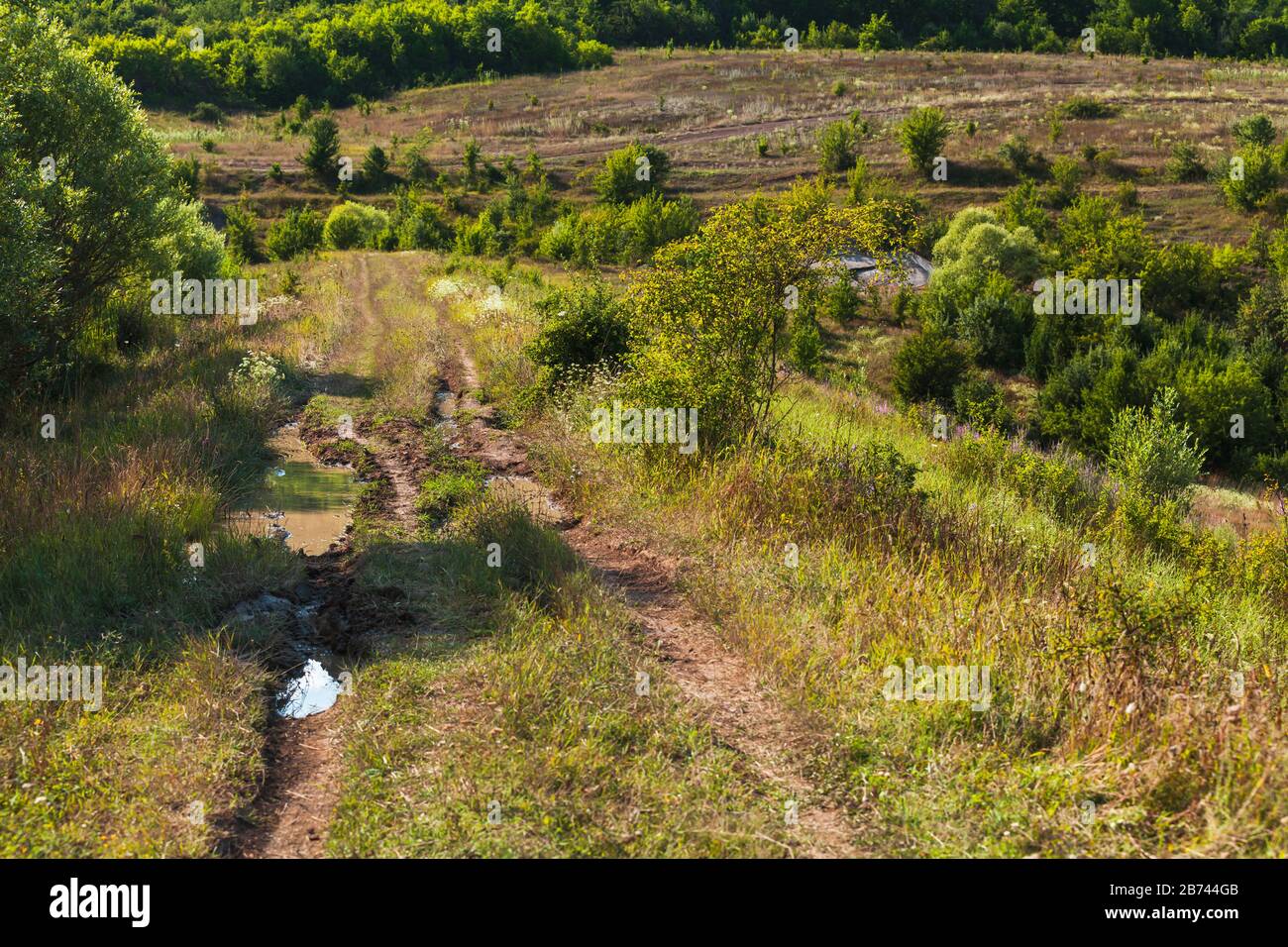 Empty wet rural road in bad condition. Mountain landscape at sunny day ...