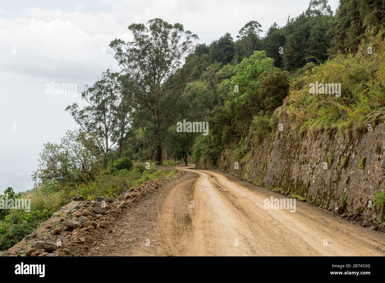 Dirt road cut into side of mountain and surrounded by vegetation in ...